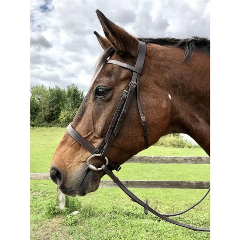Jeffries Aura Plain Cavesson Bridle in Brown